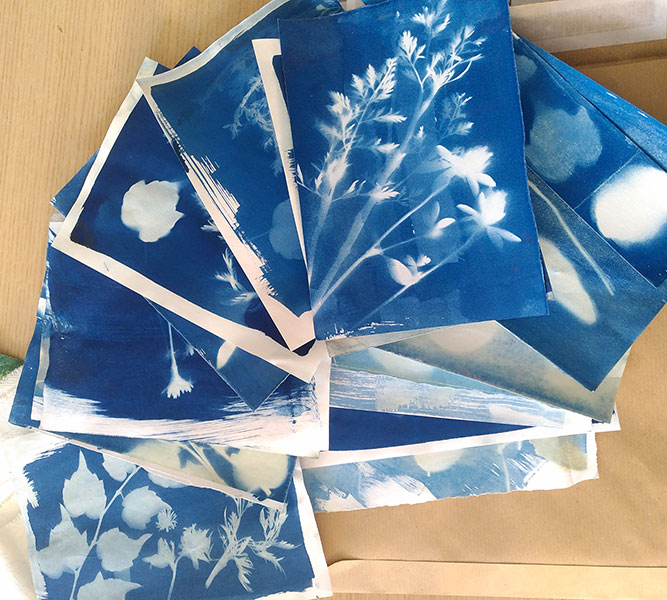 Atelier d’initiation au Cyanotype avec Stimultania à La Grenze